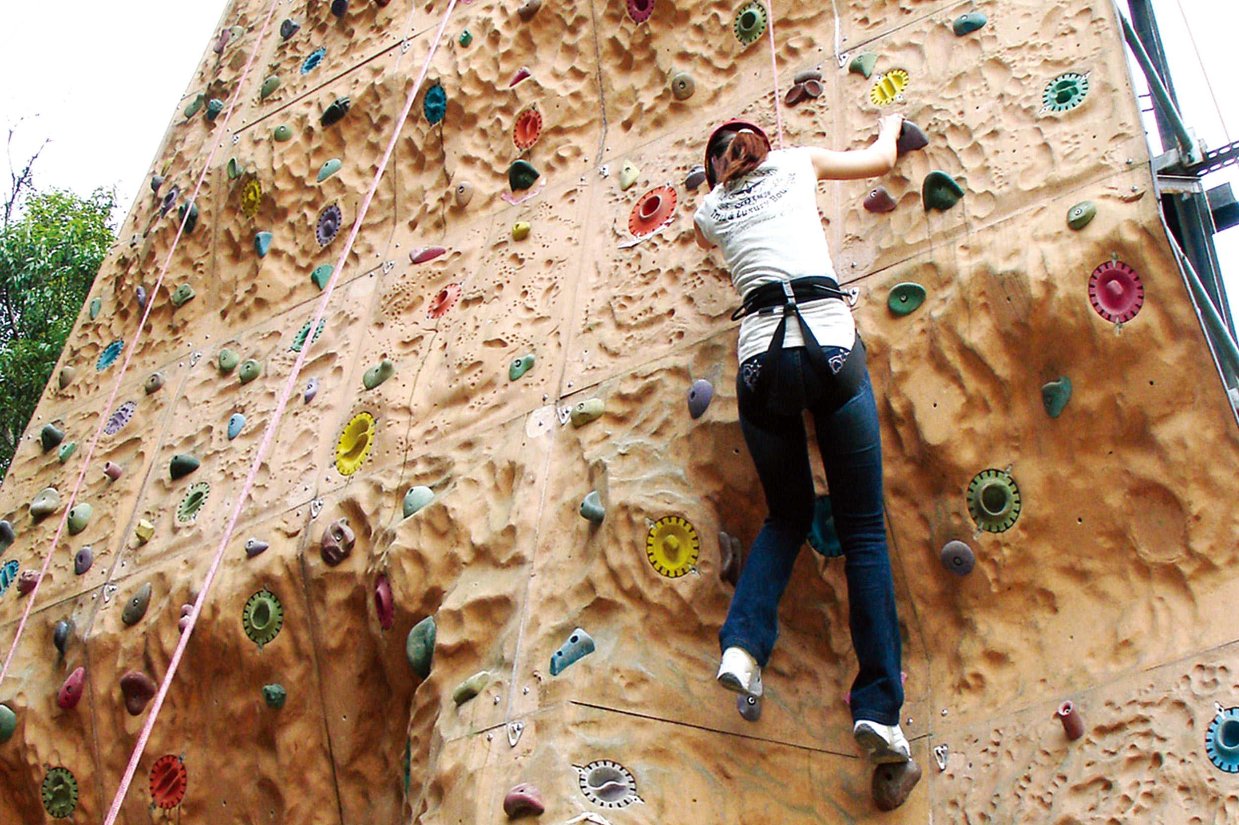 Fitness Fun with friends and family - The Great Roots Forestry SPA Resort